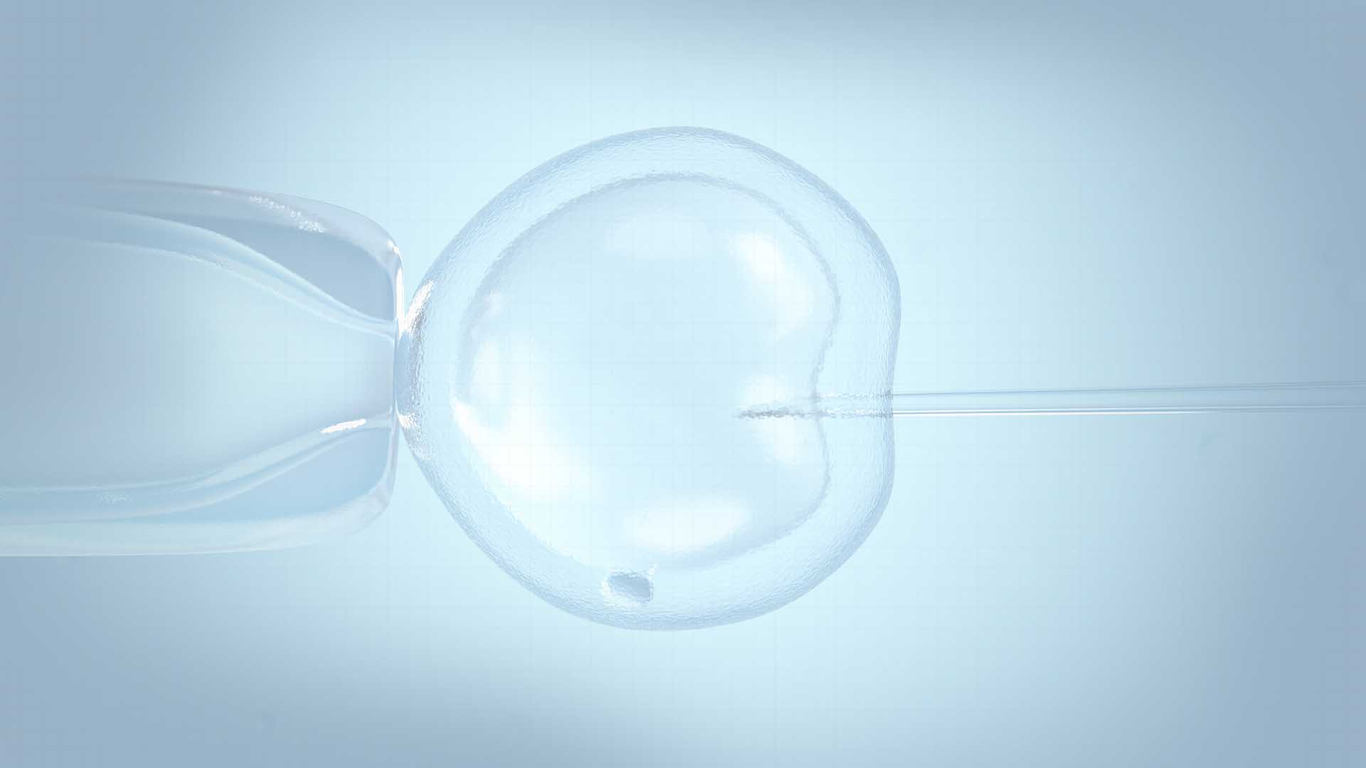 Künstliche Befruchtung mit IVF, ICSI und IMSI